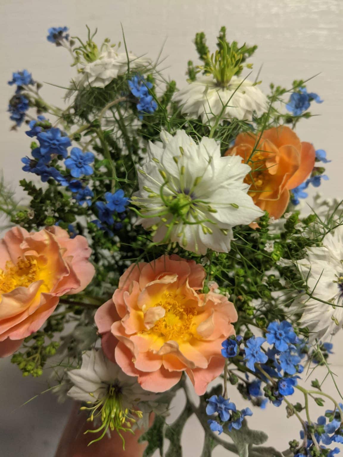 Berry's Blooms - Lahave River Berry Farm Inc.